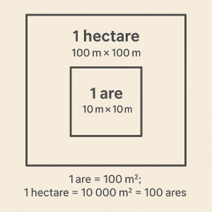 Conversion Are, Hectare et m² : Guide Pratique et Tableaux - zendart-design
